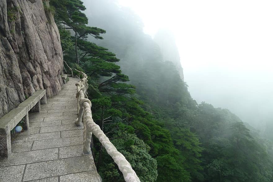 The long narrow path home. « A Call To The Remnant